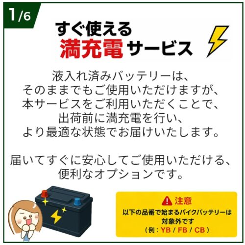 chg400-1 | ザ・バッテリー THE BATTERY